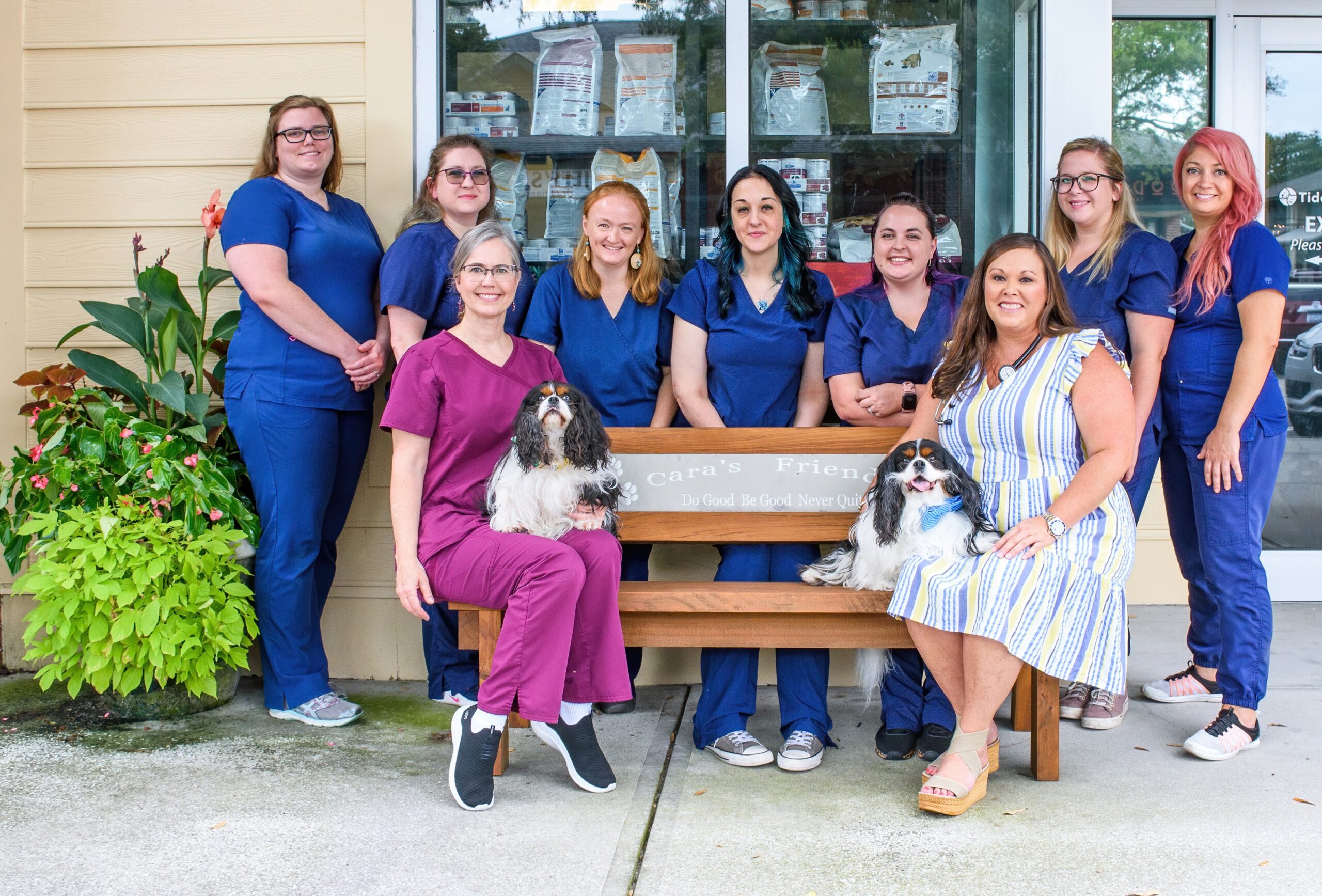 Team – Tidewater Veterinary